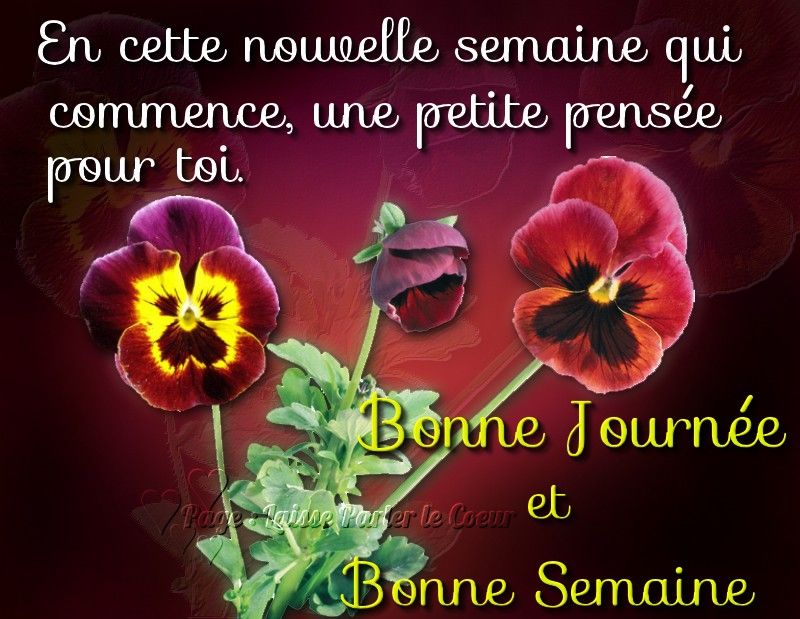 BONNE SEMAINE